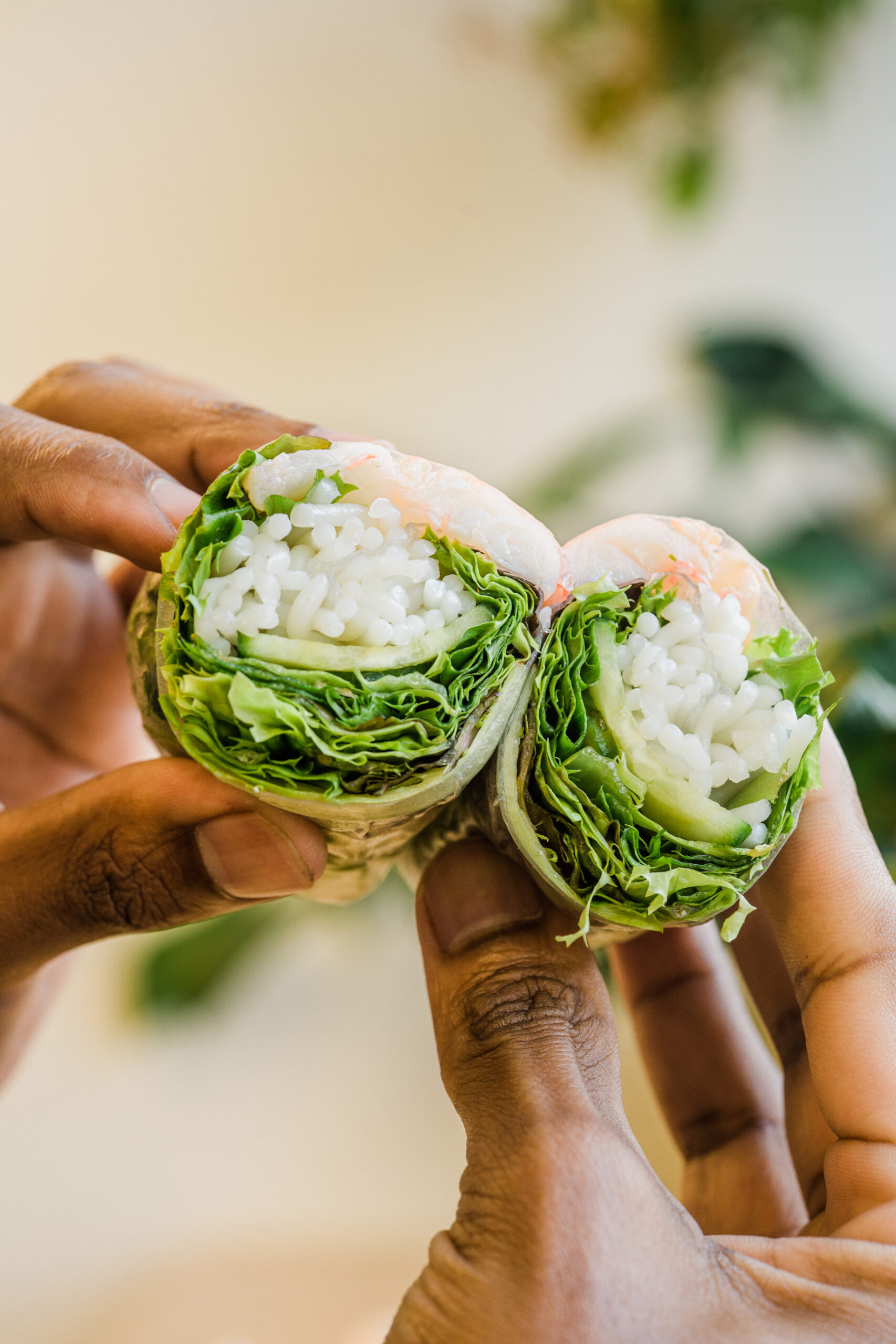 Spring Roll Classes - Soall Viet Kitchen